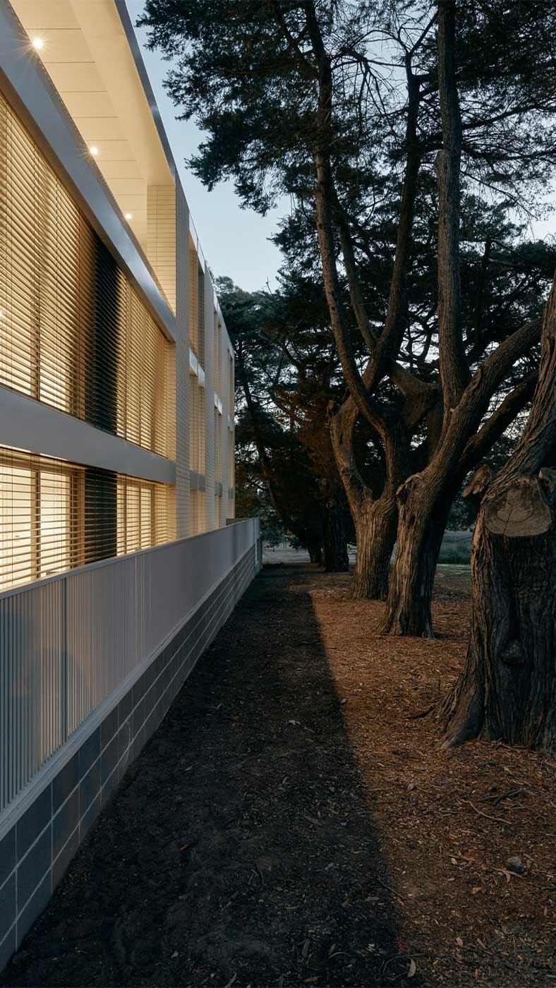 Woodland Street – evaya.com.au